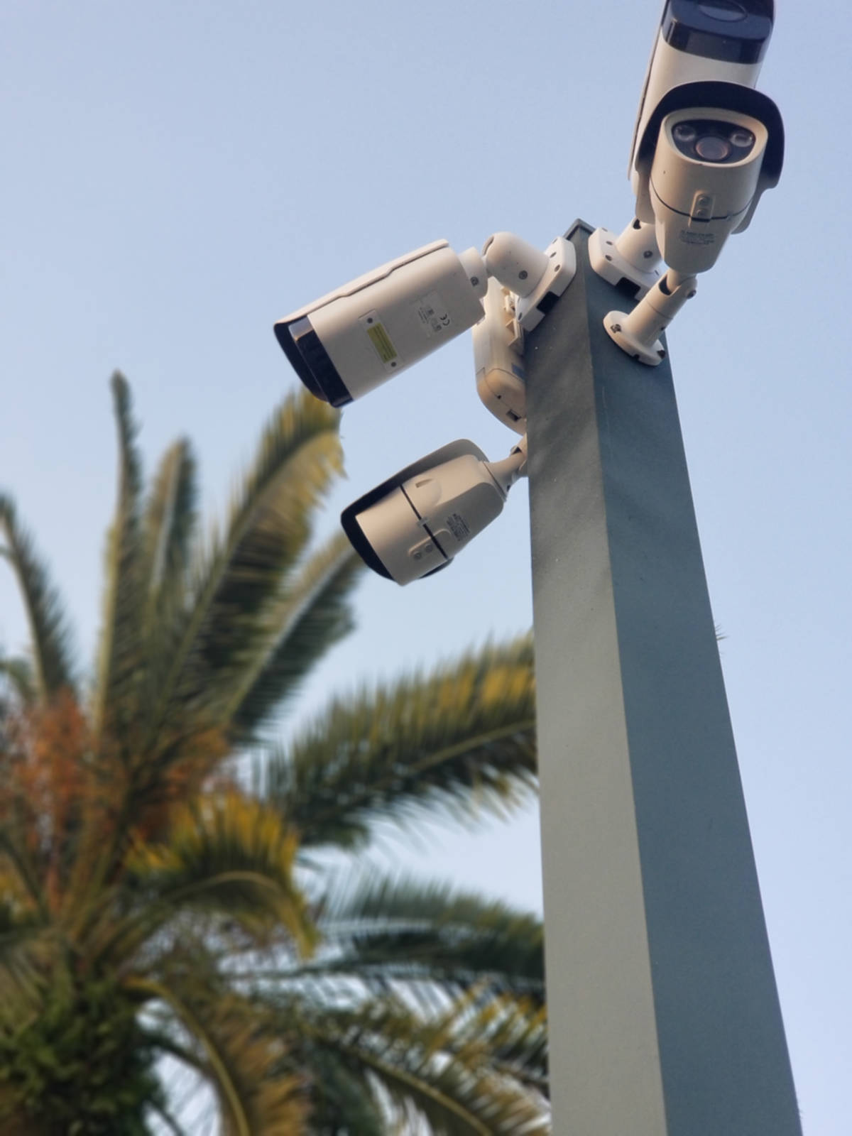 News Updates | CROSS CREEK II